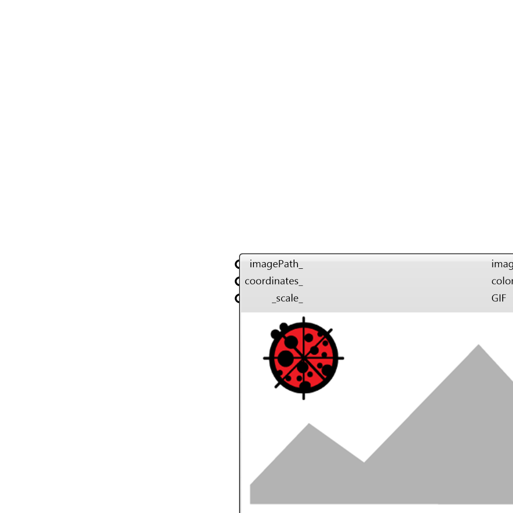 ImageViewer · Ladybug Primer